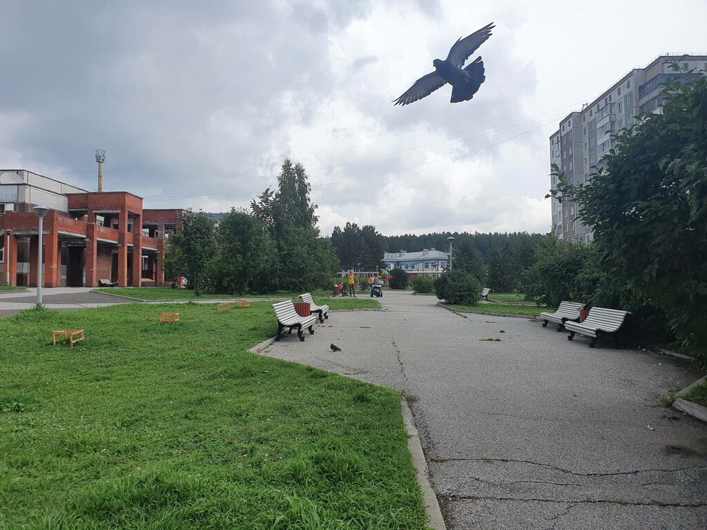 Kültür ve eğlence parkları Semeyniy Public Garden, Seversk, foto
