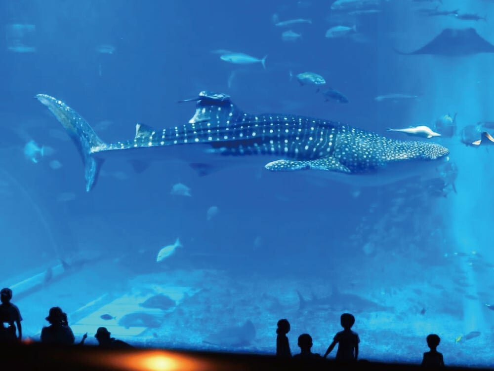 Otel Private Villa Gushikumui by Coldio Premium, , foto