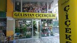 Gülistan Çiçekçilik Antalya (Antalya, Muratpaşa, 100. Yıl Blv., 40 A), çiçekçiler  Antalya'dan
