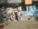 Neko's Home (Haidar Abashidze Street No:5/7), çocuk oyunları ve oyuncakları  Batum'dan