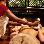 Dhanvantari Ayurvedic Center (Platinum Business Center, Al Nahda Second, Deira, Dubai), alternatif tıp merkezleri  Dubai'den