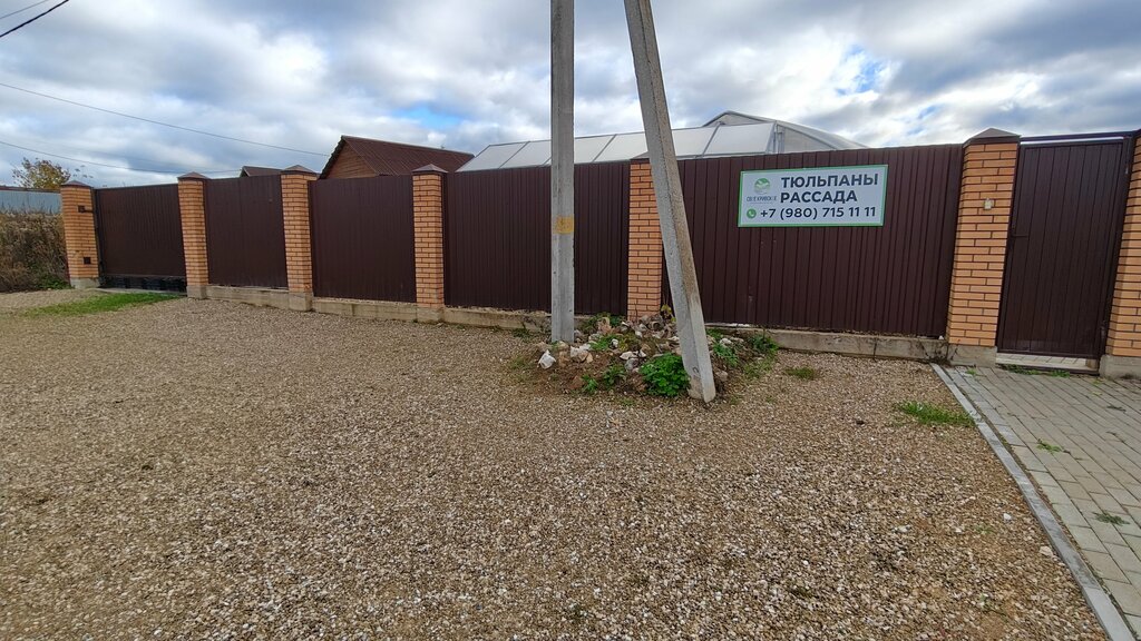 Fidan yetiştiriciliği Svoe Krivskoe, Kalujskaya oblastı, foto