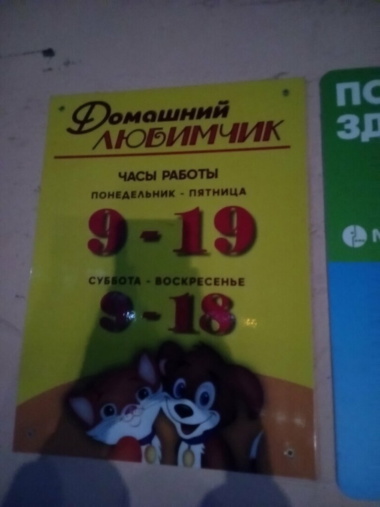 Petshop Домашний любимчик, Lysva, foto
