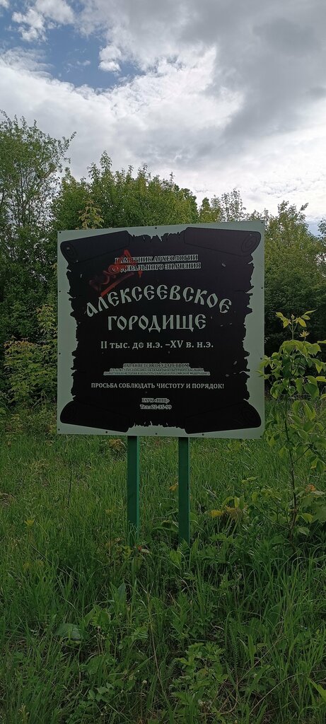 Turistik yerler Алексеевское городище, Saratov, foto