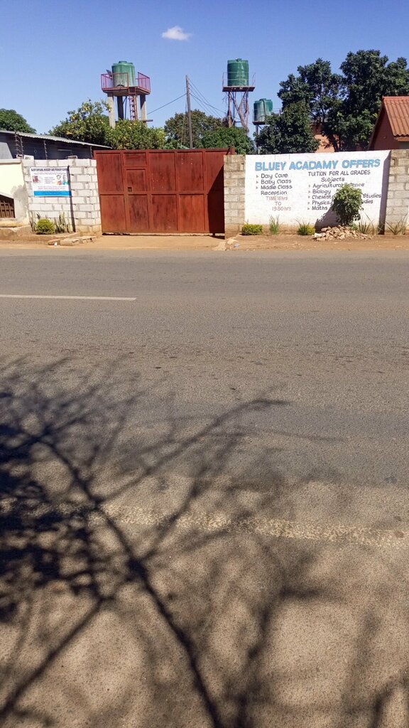 Özel okul Bluey academy, Lusaka, foto