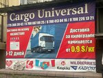 Universal Cargo (No:6, Asyl Arman turǵyn úı keshenі, Irgeli aýyly), lojistik firmaları  Almatı eyaletinden