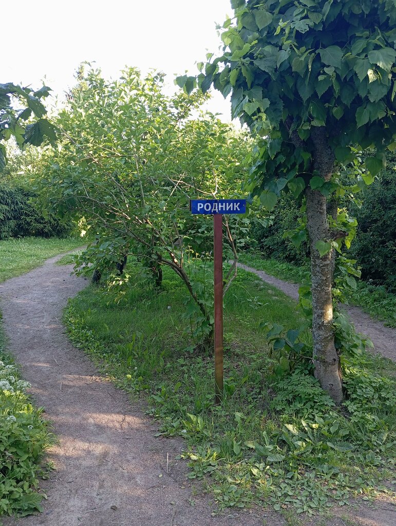 Pınar, çay Spring, stream, Saint‑Petersburg ve Leningradskaya oblastı, foto