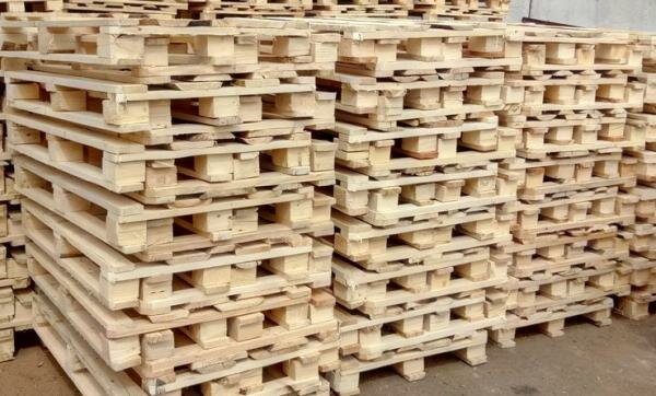 Paletler Fenix-Plus, Moskova ve Moskovskaya oblastı, foto