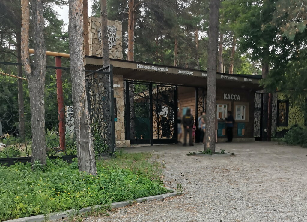 Geçiş noktaları, güvenlik kontrol alanı Контрольно-пропускной пункт, Novosibirsk, foto