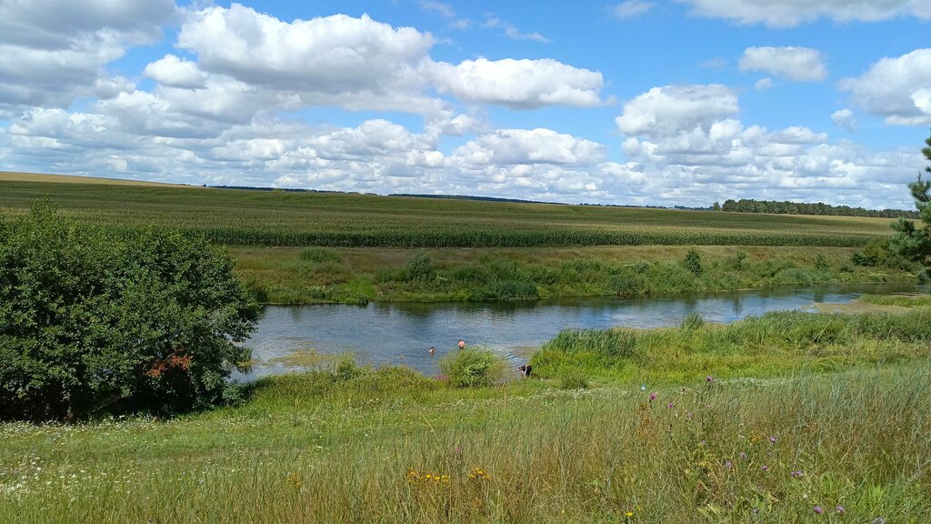 Orman Егоренский лес, Orlovskaya oblastı, foto