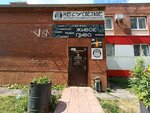Несусветлое (Yuzhnoye Highway No:79А), bira dükkanı  Tolyatti'den (Togliatti'den)