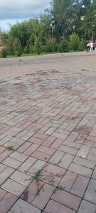 парк Сфера (Krasnoyarsk Territory, gorod Bogotol, park Sfera), kültür ve eğlence parkları  Bogotol'dan