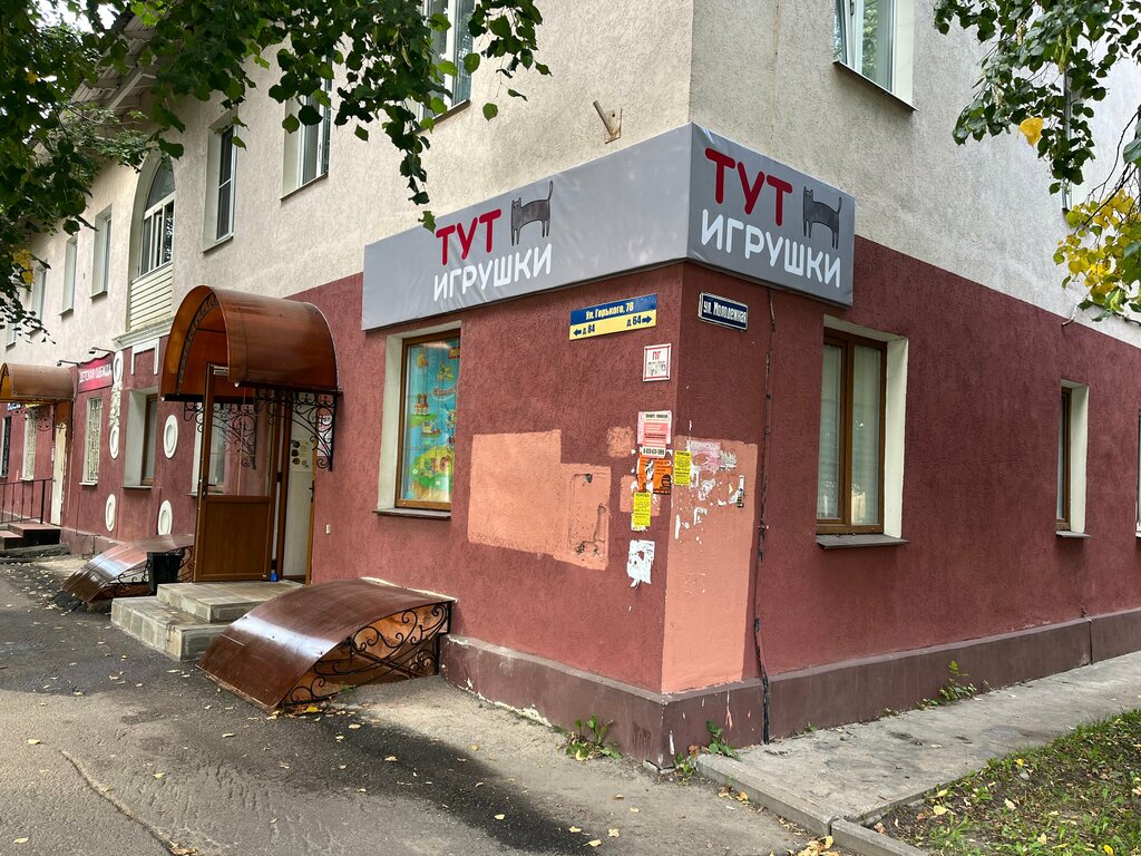 Çocuk oyunları ve oyuncakları Тут Игрушки, Vladimir, foto