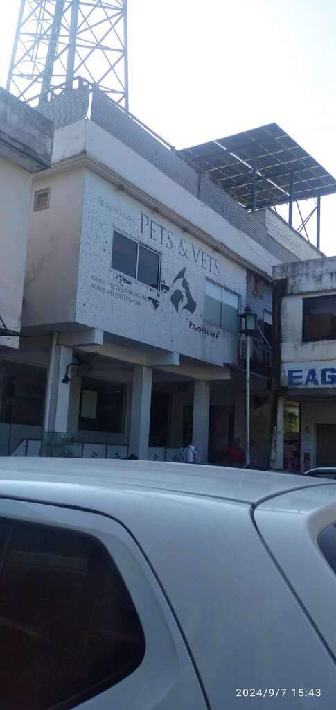 Veteriner klinikleri Pets and Vets, Islamabad, foto