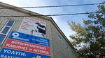 Golden Fighter (Otrubnaya Street No:1А), spor kulüpleri  İvanovo'dan