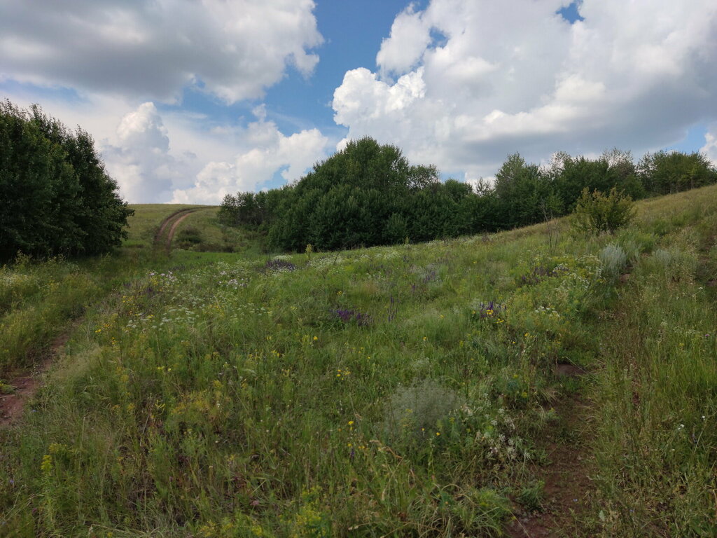 Doğa Ландшафтно-гидрогеологический памятник природы Урочище Золотой ключ, Orenburgskaya oblastı, foto