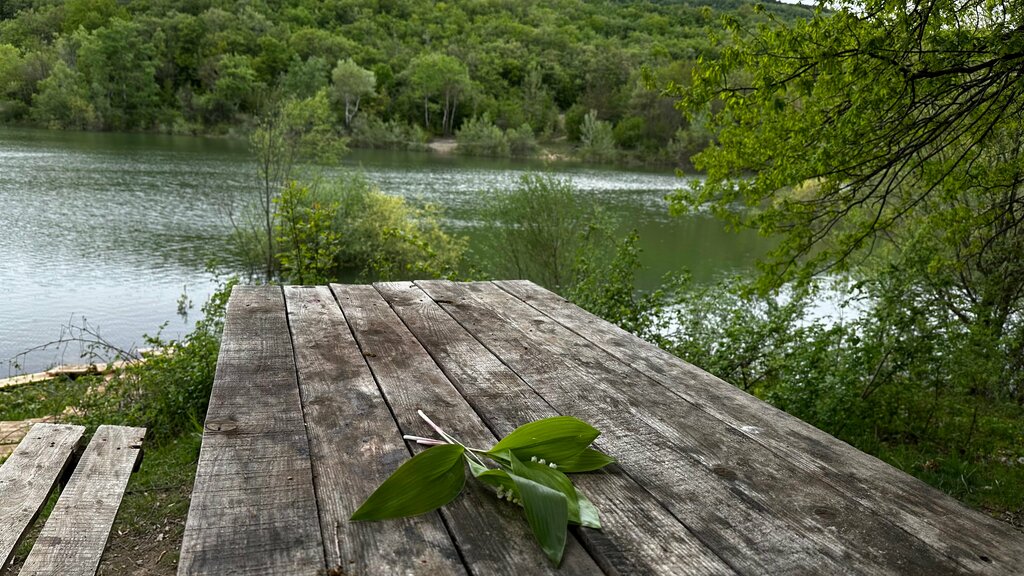 Piknik alanı Стол для пикника, Kırım Cumhuriyeti, foto