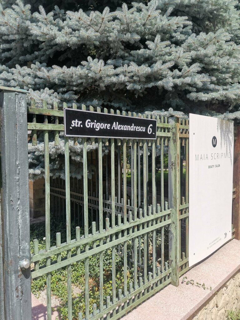 Sergi salonları, galeriler Pavilion Nr. 5, Kişinev, foto