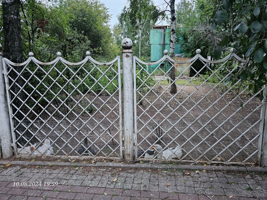 Hayvan muhafazaları Вольер животных, Moskova, foto