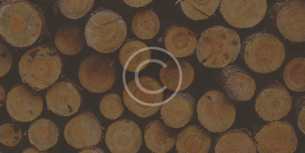 Kerestecilik, ağaç satışı Demka Kereste, Bilecik, foto