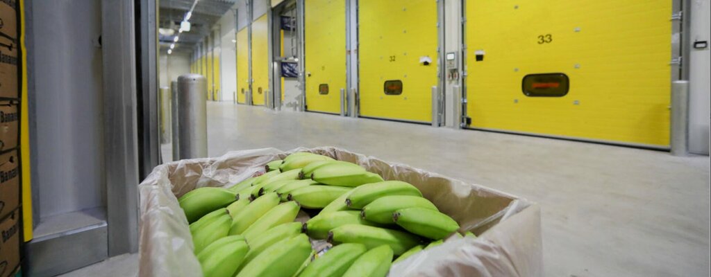 i̇thalat-ihracat firmaları Talyapak, Antalya, foto