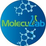 Moleculab (No:20, mikrorayon D), laboratuvar ekipmanları  Puşçino'dan