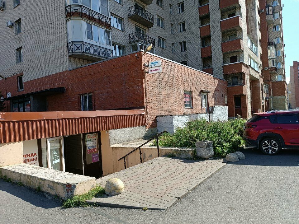 Terziler Ленинский 90, Saint‑Petersburg, foto