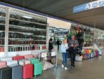 R. S. L (Minski District, Shchomyslicki Rural Council, 74), çanta ve valiz mağazaları  Minskaya oblastından