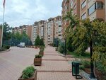 Beyzade Evleri (Konya, Meram, Havzan Mah., Ebussuudefendi Cad., 15/1), bina, site yönetimi  Konya'dan