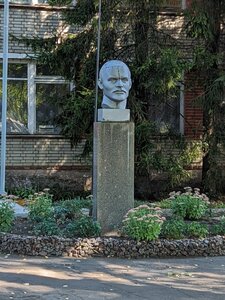 Бюст В.И. Ленина (Penza Region, Serdobskiy rayon, Kirovskiy selsovet, selo Gulyonovka, Naberezhnaya ulitsa), anıt, heykel  Penzenskaya oblastından