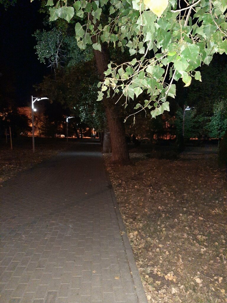 Kültür ve eğlence parkları сквер имени генерал-майора авиации Юрия Еремеева, Tambov, foto