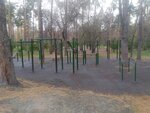 Dog park (Sverdlovsk Region, Yekaterinburg, Zelenaya Roscha Park), köpek gezdirme alanları  Yekaterinburg'dan
