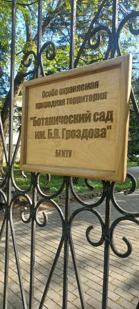 Bahçe Ботанический сад им. Б. В. Гроздова, Briansk, foto