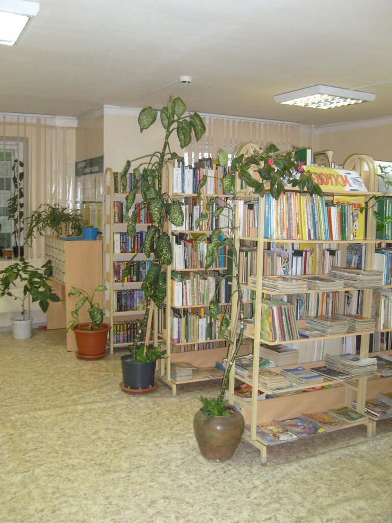 Kütüphaneler Центральная районная библиотека, филиал № 3, Krasnokamsk, foto