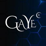 Gaye Dijital Medya (Kayseri, Melikgazi, Kayseri OSB Mah., 18. Cad.), web tasarım hizmetleri  Kayseri'den
