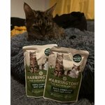 Golden Cat Fooders & Animal Food Trading (50B, Airport Street, Deira, Dubai), petshop  Dubai'den