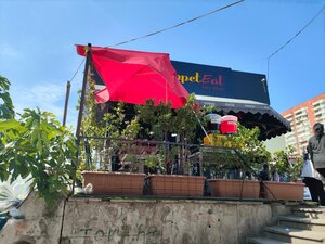 Poncik (Сity ​​of republican subordination Baku, Nizami district, 8th kilometer setllement, Gara Garayev Avenue), pasta, şekerleme ve tatlı  Bakü'den