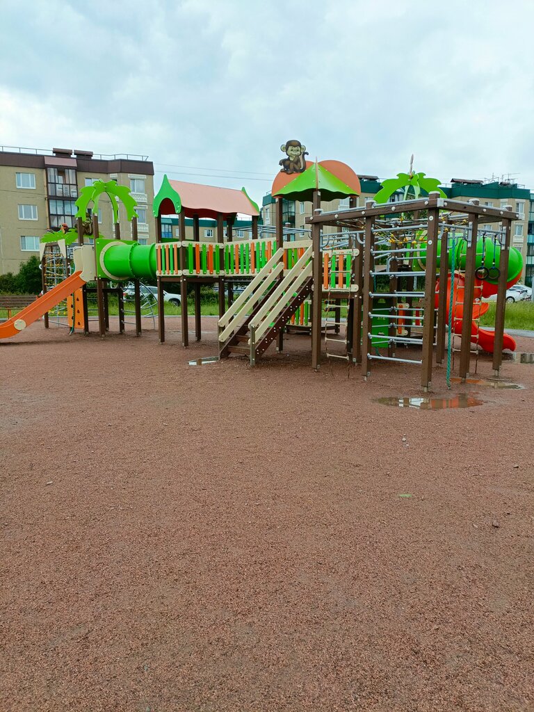 Oyun alanı Playground, Puşkin, foto