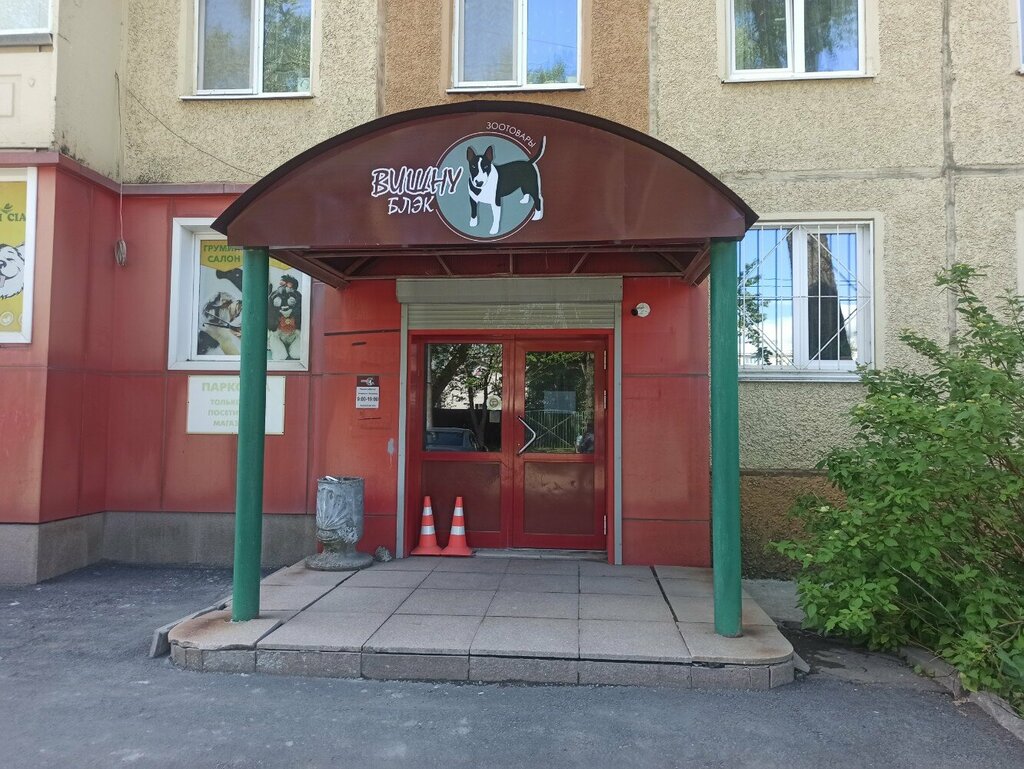 Petshop Вишну блэк, Sakhalinsk, foto