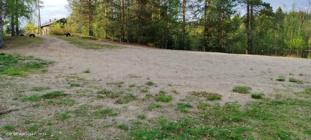 Plaj Пляж, Karelya, foto