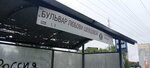Бульвар Любови Шевцовой (Kaliningrad, Olega Koshevogo Street), toplu taşıma durağı  Kaliningrad'dan