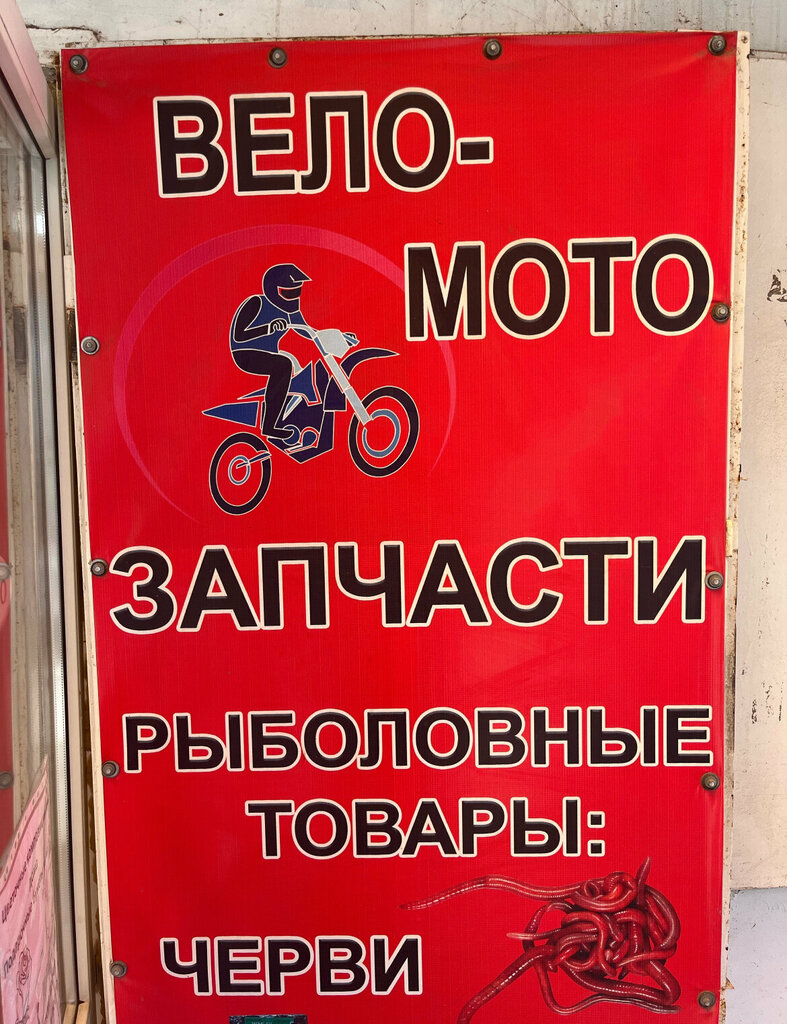 Balıkçılık ekipman firmaları Mechta rybaka, Kamyziak, foto