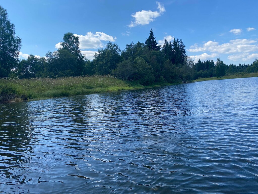 Plaj Beach, Moskova ve Moskovskaya oblastı, foto