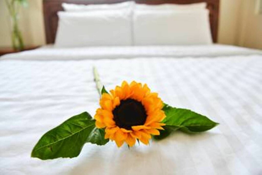 Otel Vien Dong 2 Hostel, Da Nang, foto