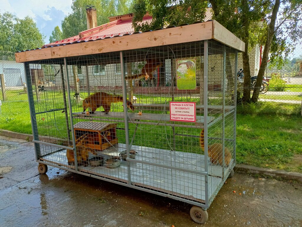 Kültür ve eğlence parkları Могилев Зоосад, Mogiliovskaya oblastı, foto