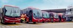 PeruBus Cargo (Distrital La Victoria, Avenida Mexico), kargo firmaları  Lima'dan