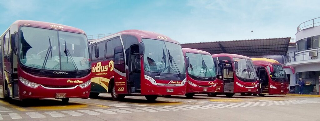 Kargo firmaları PeruBus Cargo, Lima, foto