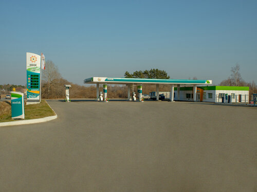 Benzin istasyonu Nnk, Vyazemsky, foto