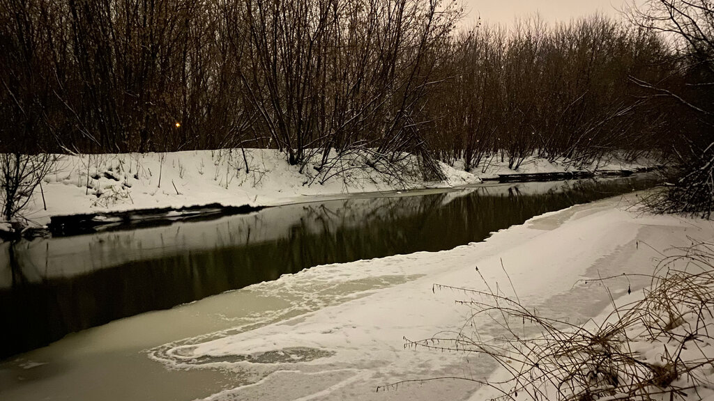 Kültür ve eğlence parkları Butyrskaya Grove, Riazan, foto