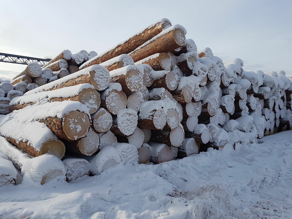 Kereste üretim ve satış şirketleri EcoWoodService, Moskova, foto